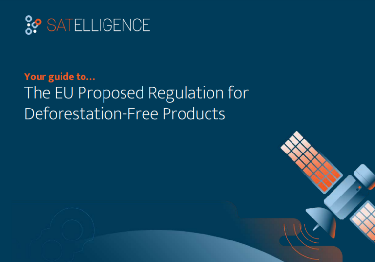 EUDR: A guide to the EU deforestation-free regulation - Satelligence